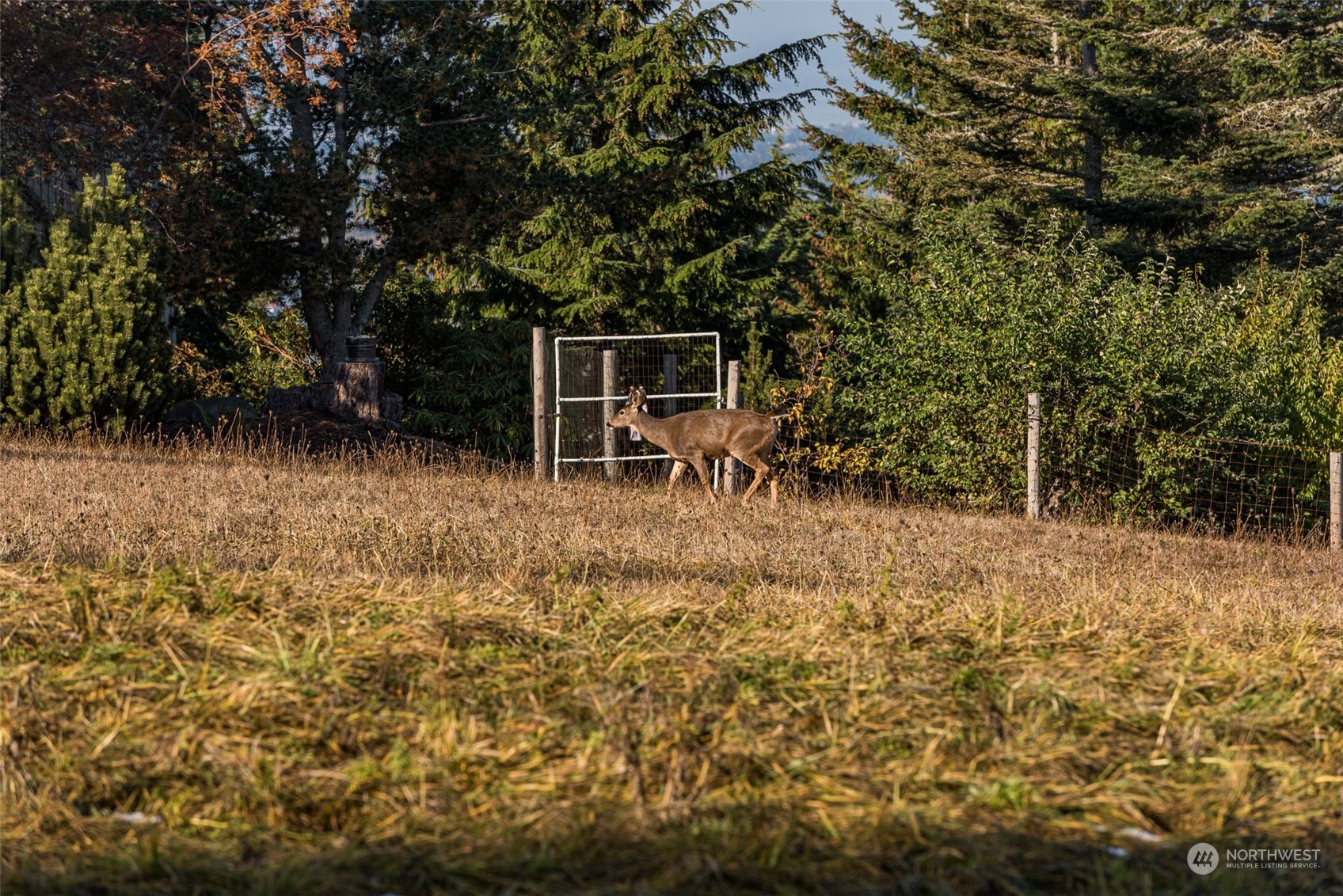 9999 Lot 4 Doe Run Road, Sequim, WA 98382 | LISTINGS.COM | Real Estate ...