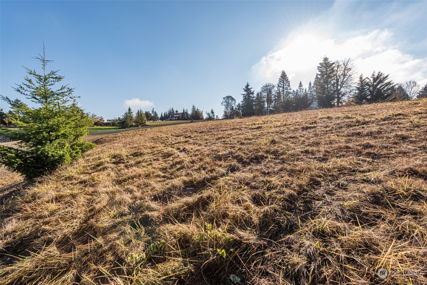 9999 Lot 4 Doe Run Road, Sequim, WA 98382 | LISTINGS.COM | Real Estate ...